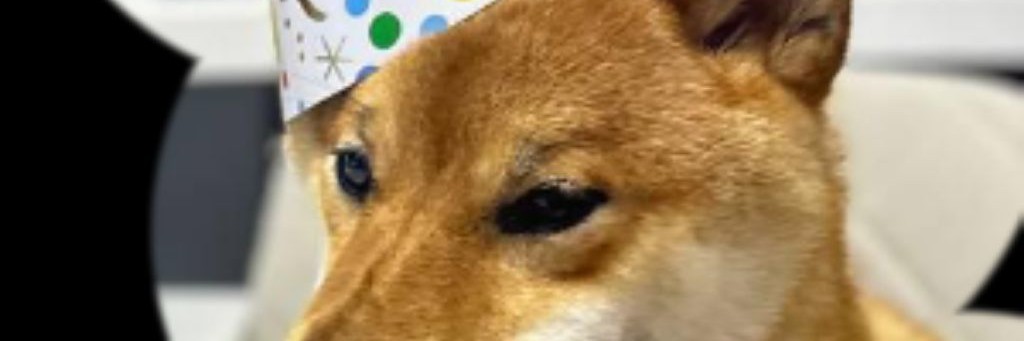 Смешные Видосы