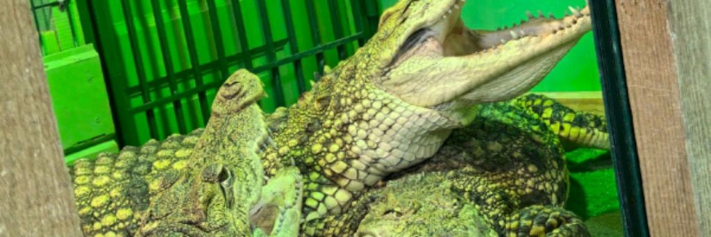 Егор стартует