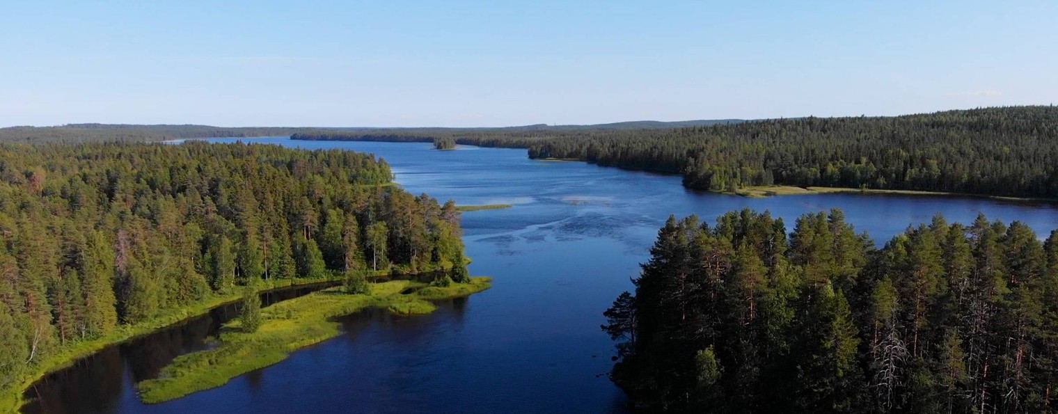 Константин Моисеев