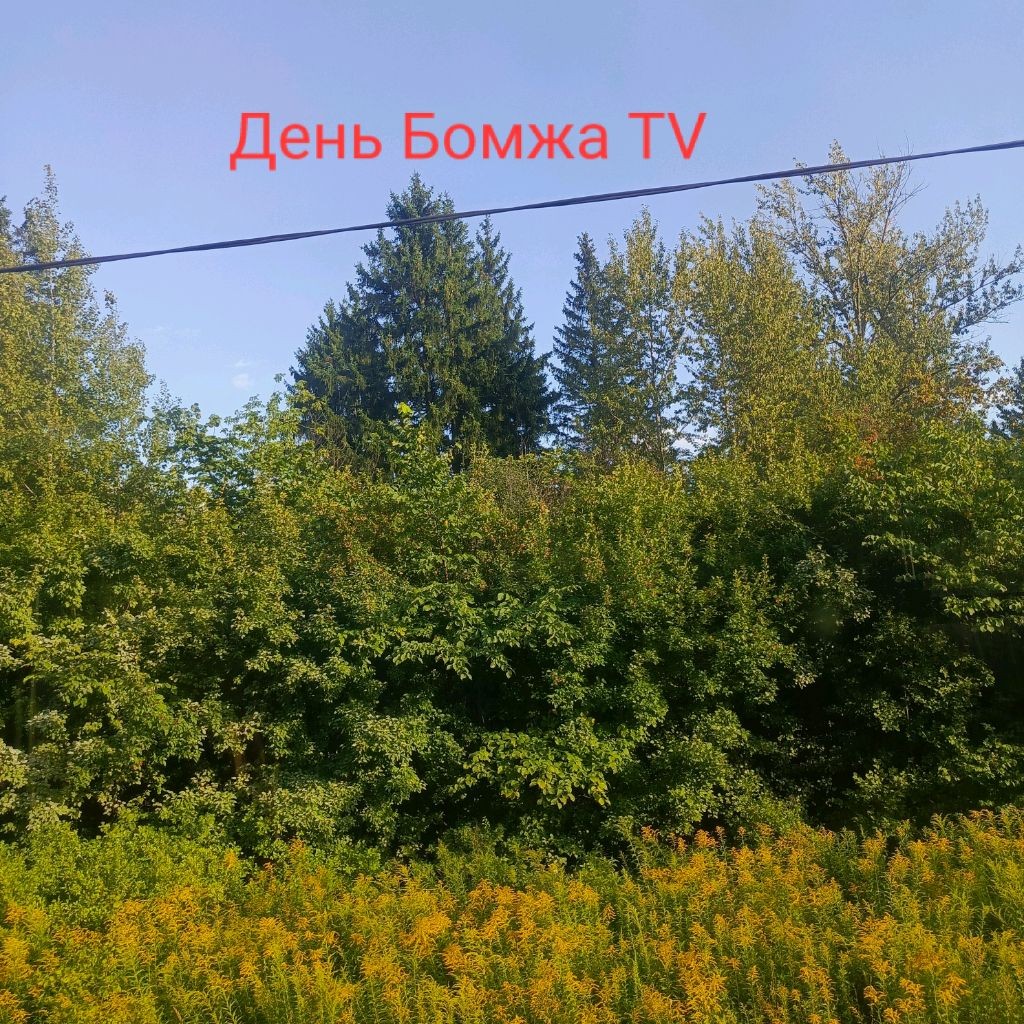 День Бомжа ТВ.