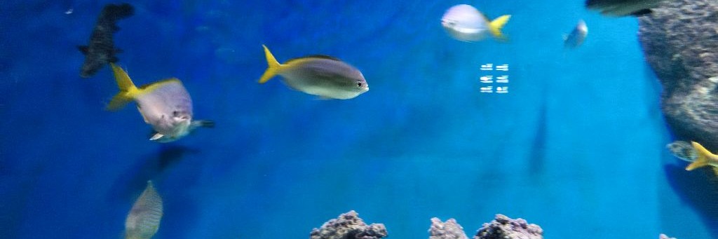 Маня Звёздочка 💖🌟😻