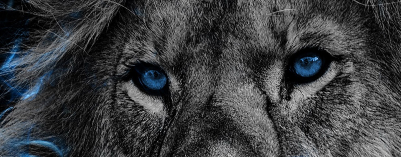 Морозные земли