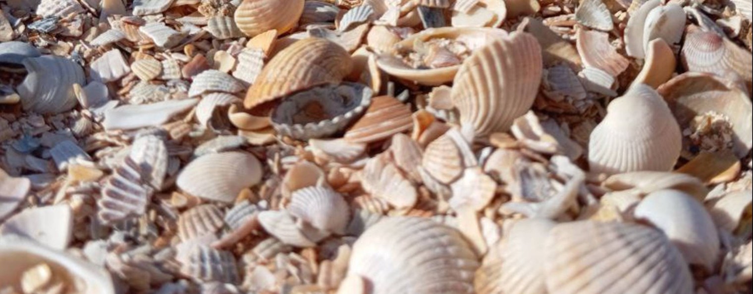 Анна Уютные миры