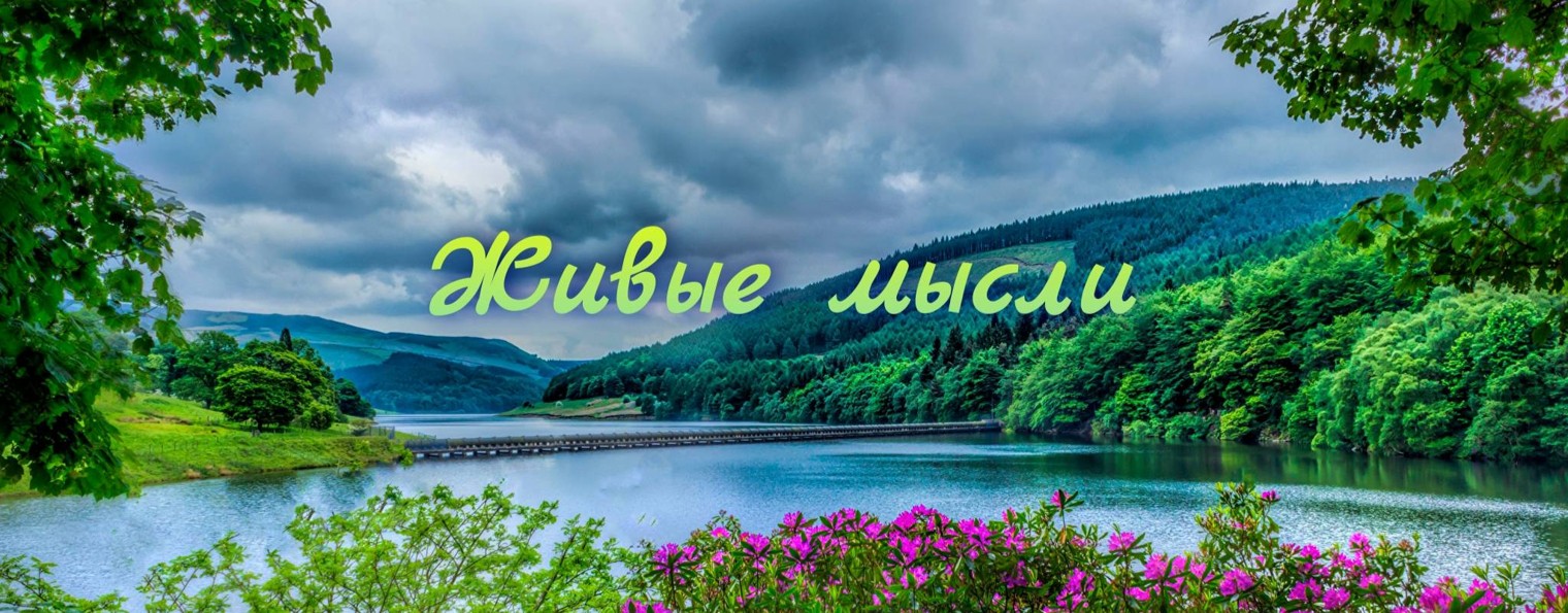 Мнение Артура