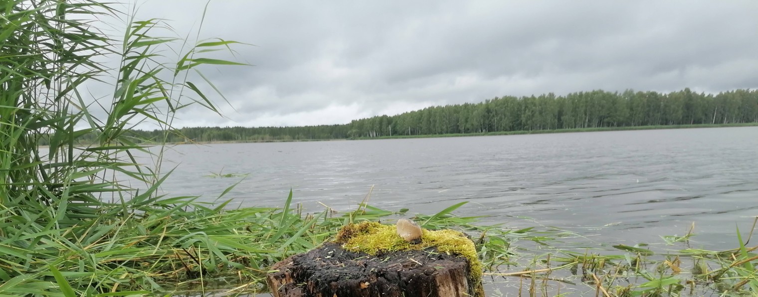 ЛОтоФиш рыбалка