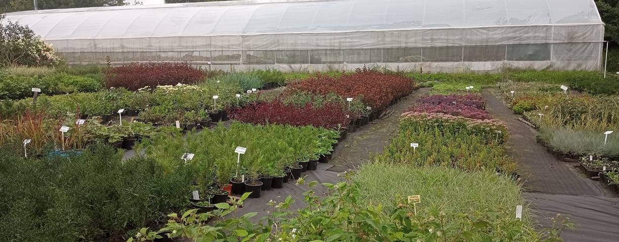 Любимый Сад