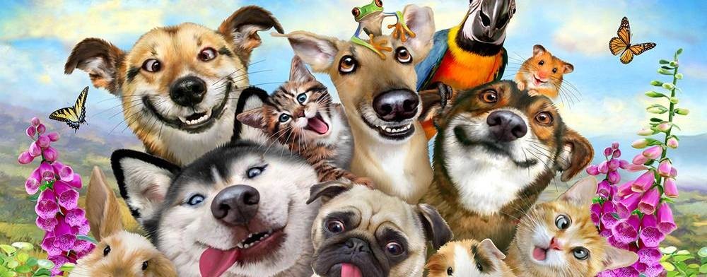 +Веселые Животные+