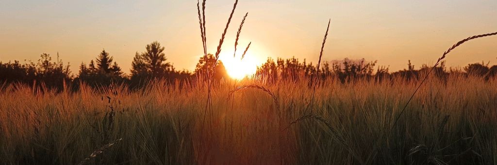 Margotita 🎁🎆🍉🍓🌷