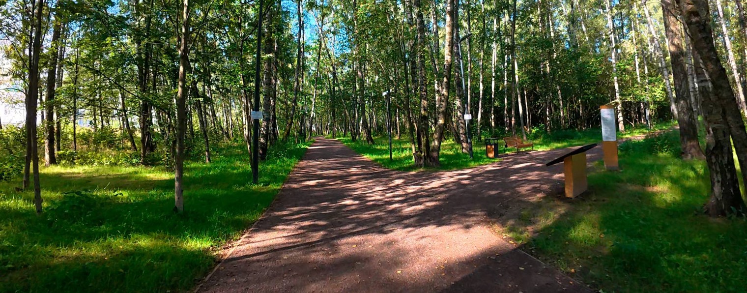 Катаемся на моноколесе