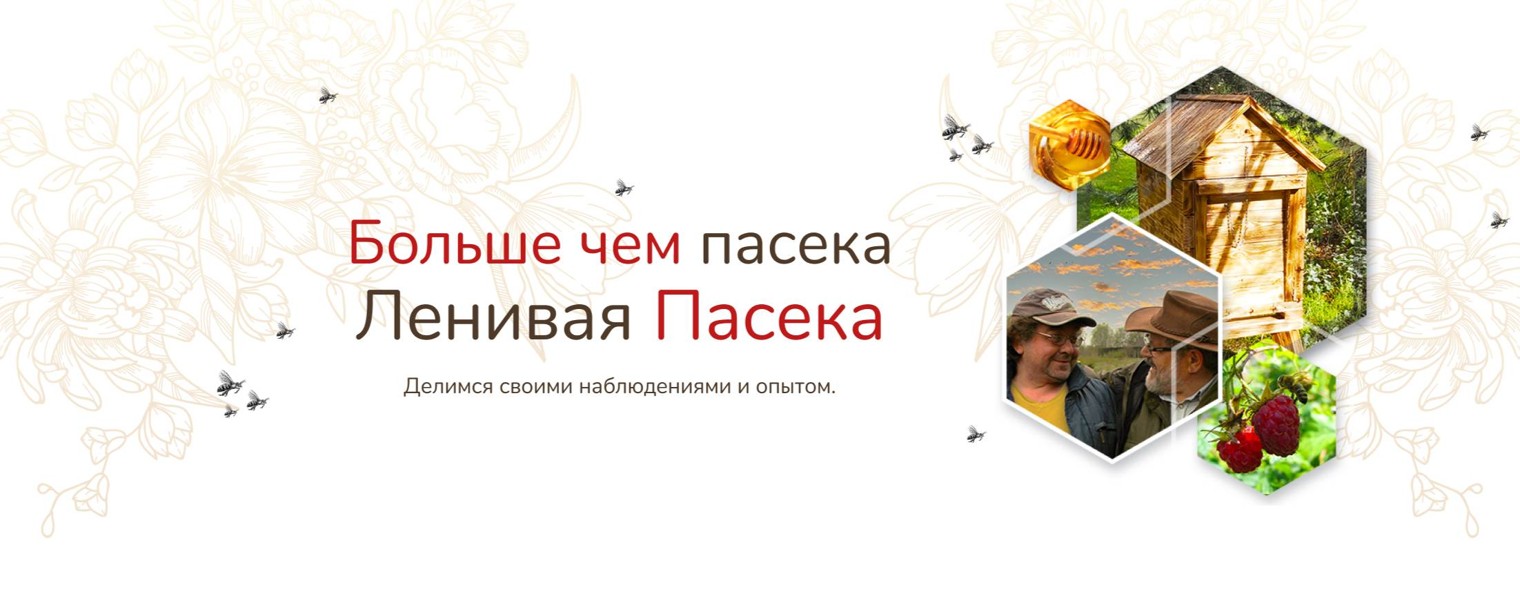 ЛЕНИВАЯ ПАСЕКА