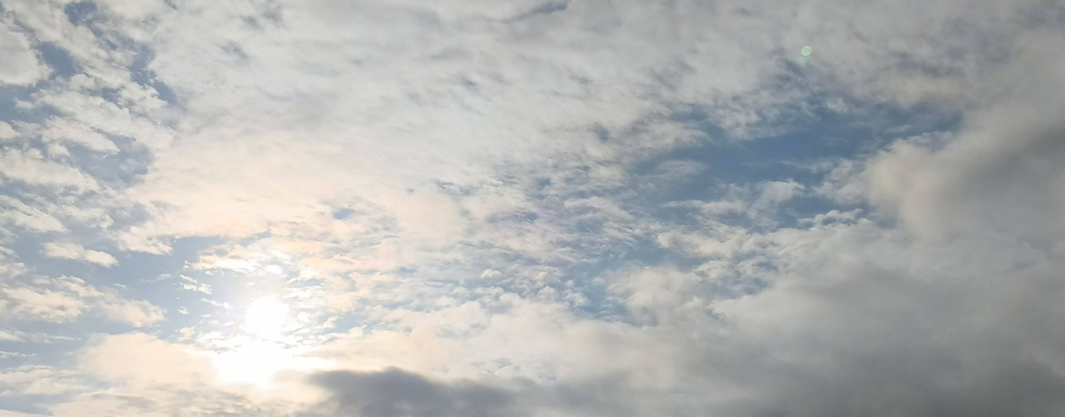 Олеся в деле