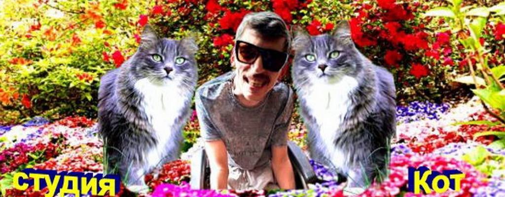 студия Кот - Кирилл  Виноградов