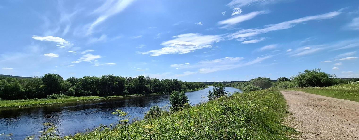 Анна Бардова