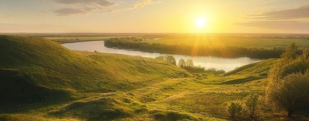 Гнездо пичуги