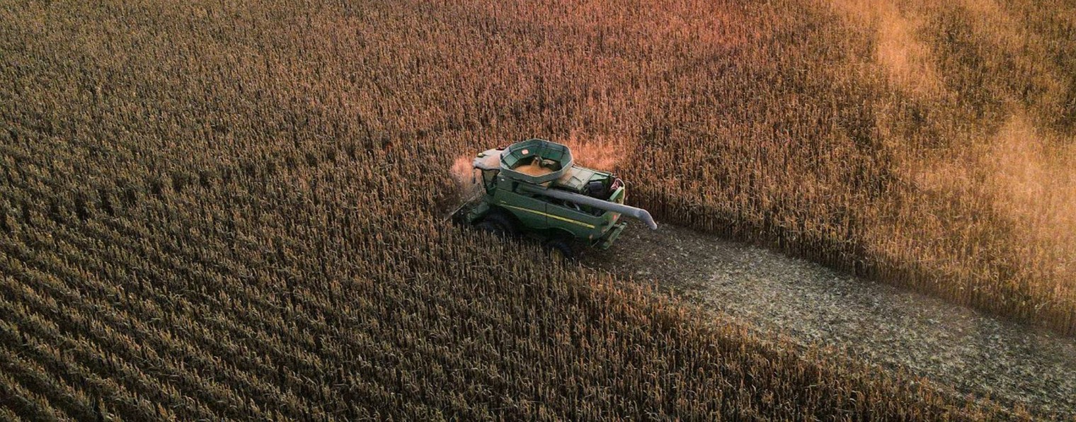 ООО «ЗЕРНОВЫЕ ЛИНИИ»