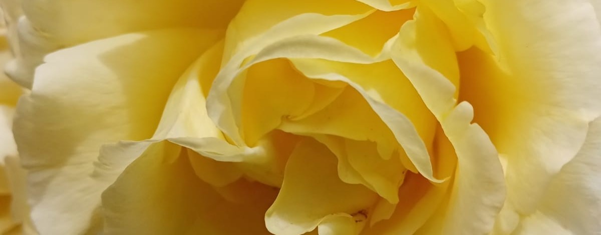 Мария Исакова песни и музыка