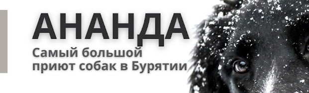 Приют собак "АНАНДА" Улан-Удэ