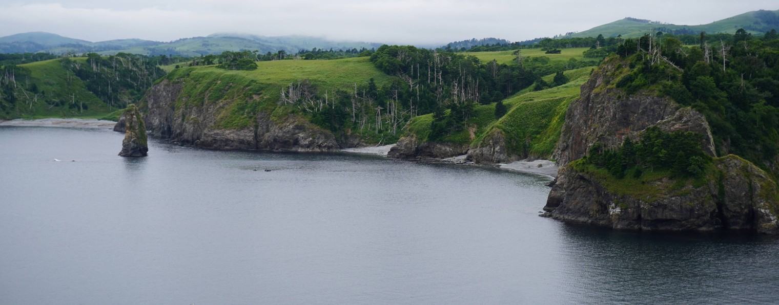 Алина Ферчук | feastories