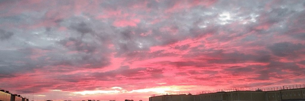 Никита Миночкин - Nkeins