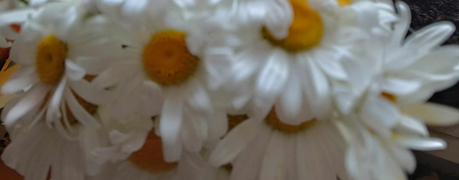 Елена Макаренко