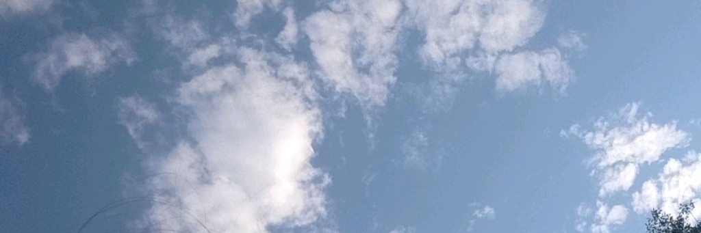 🪵ⲭυⲡⲡυ•ⲧⲉⲣυⲁⲏ🐎