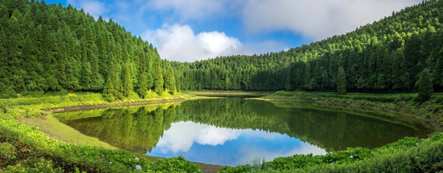 Гармония души