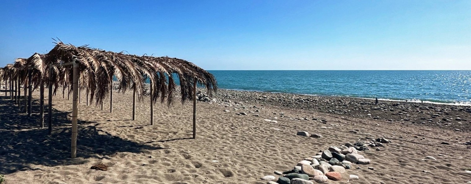 Апартаменты Пальма в Абхазии