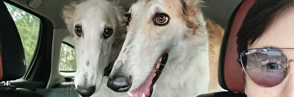 Борзопсихолог Надежда