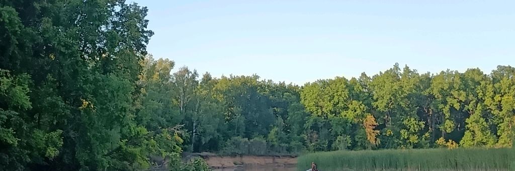 Жизнь Егора!