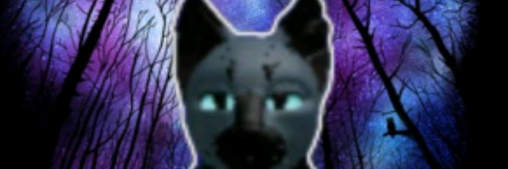 Астероиды Квальтера🖤