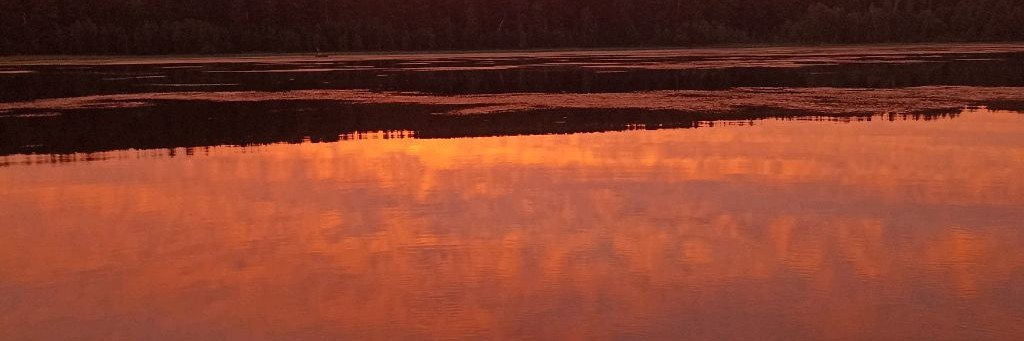 МЕМЫ И НЕ ТОЛЬКО