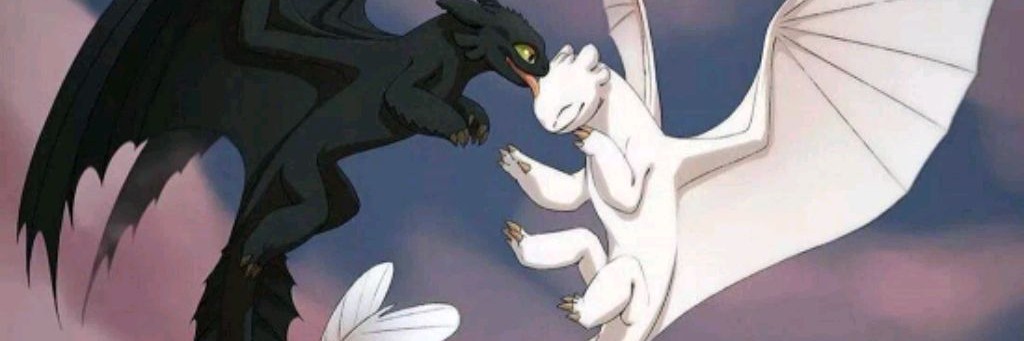 Night and Light Fury edits