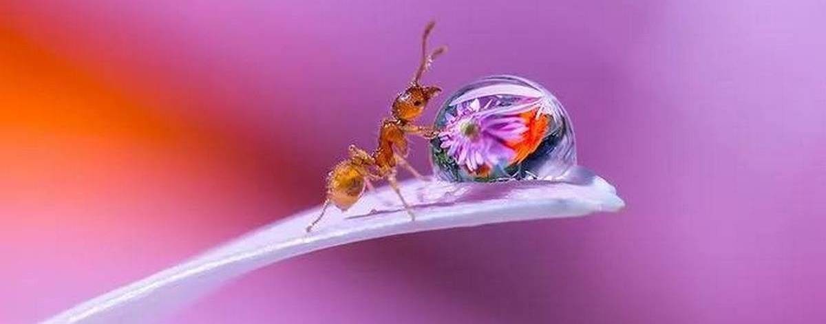 Юрий Пахомов