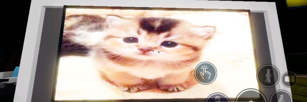 \(★катя★) /
