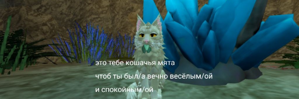 §Рыжевзор§ ~КВ~