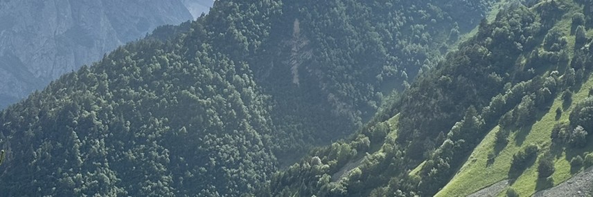 Елена Водопьянова