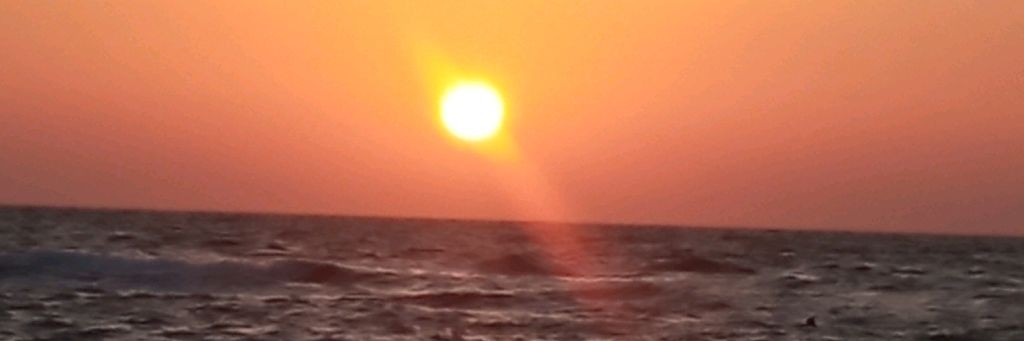 Танцуй и пой со мной /Dance  and singwith me