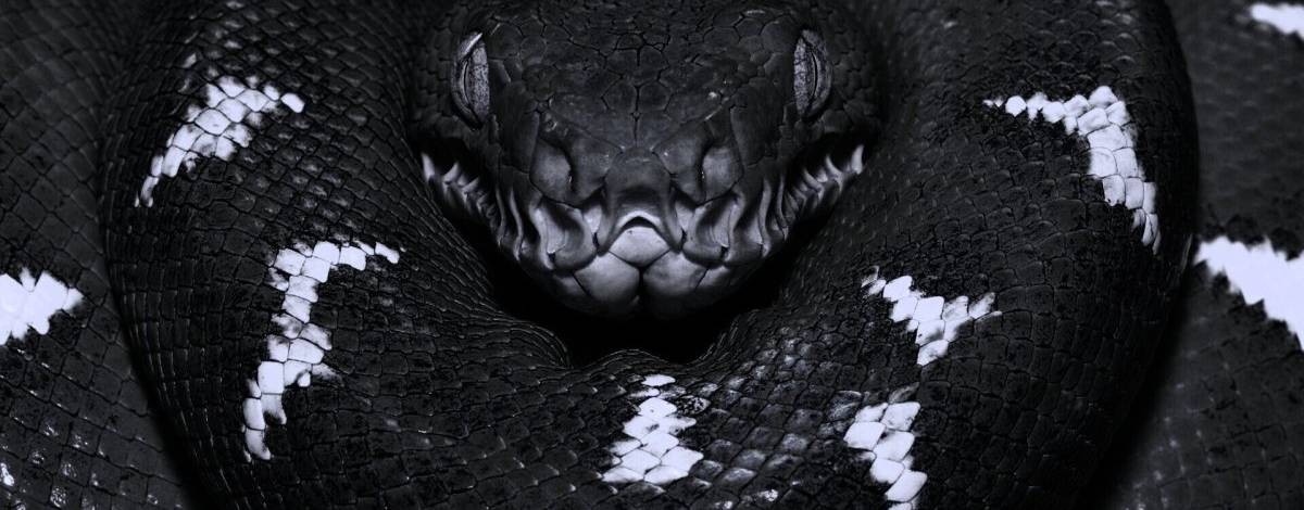 Лучезар Ратибора