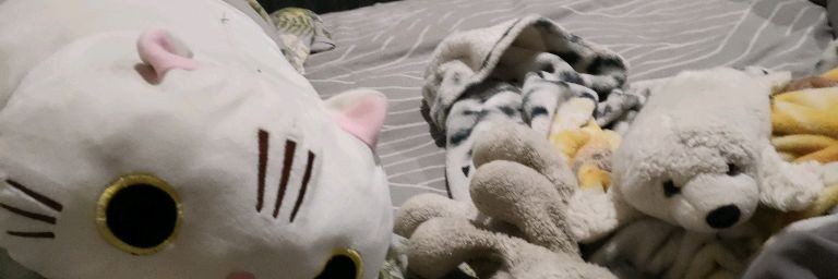 Мистер Котат✔️