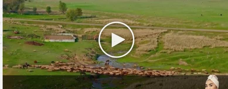 Келiнжан 6 6 сезон 5 серия -- смотреть онлайн (6 с