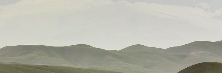 Яна ▸ технический специалист • чат-боты