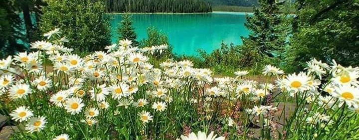 ГАРЯЕВ МАТРИЦЫ 2026: слушать онлайн Софтрадио.РФ