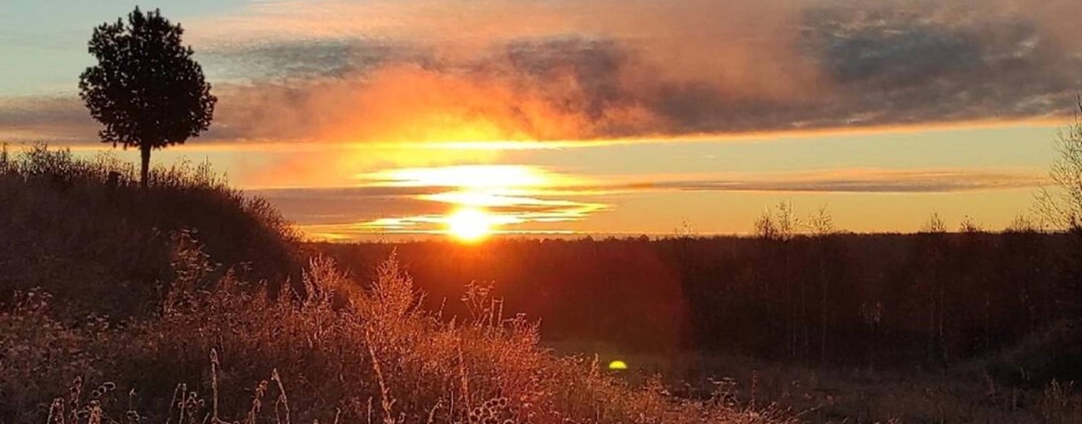 Таёжный угол.