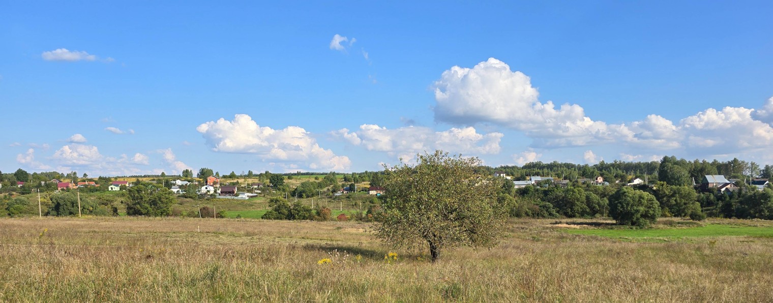 Все и обо всем