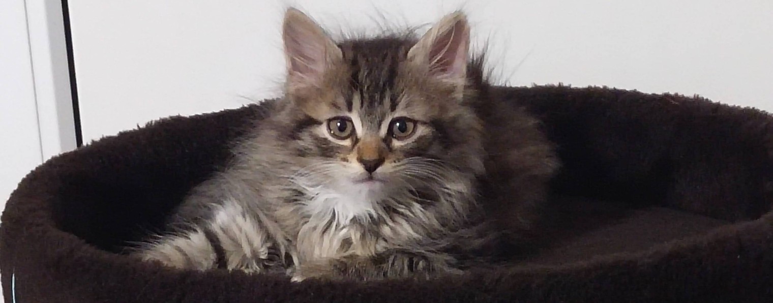 Наша совесть нам лучший судья. Юлия.