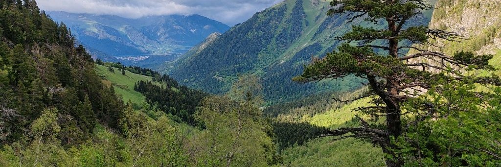 Виталийский взгляд Или километры свободы