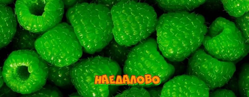 НАЕДАЛОВО☑️