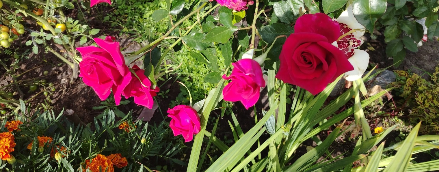 🍭МармеЛена🍭