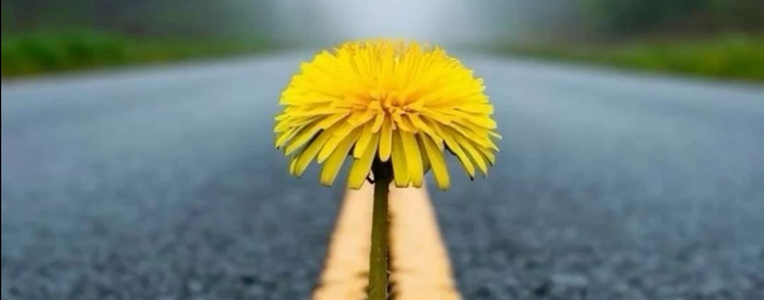 ДаБудетТак