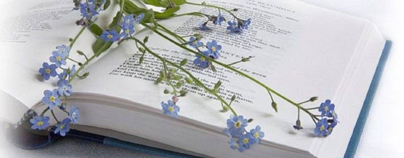 Проза и поэзия